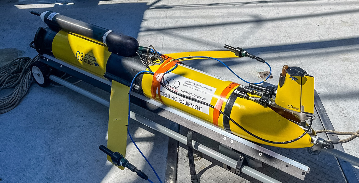 Using Slocum Gliders to Detect and Localize Marine Mammals off the Coast of Nova Scotia